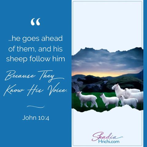 What’s with all the goats in the Bible? - Shadia Hrichi